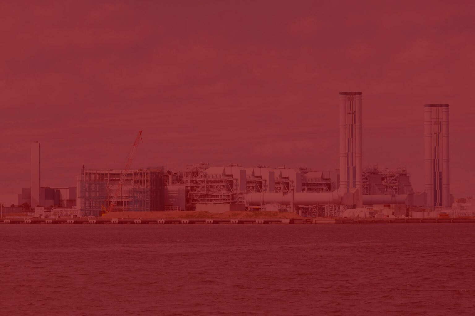 APH Tree Planting Activity – Azbil Philippines Corporation